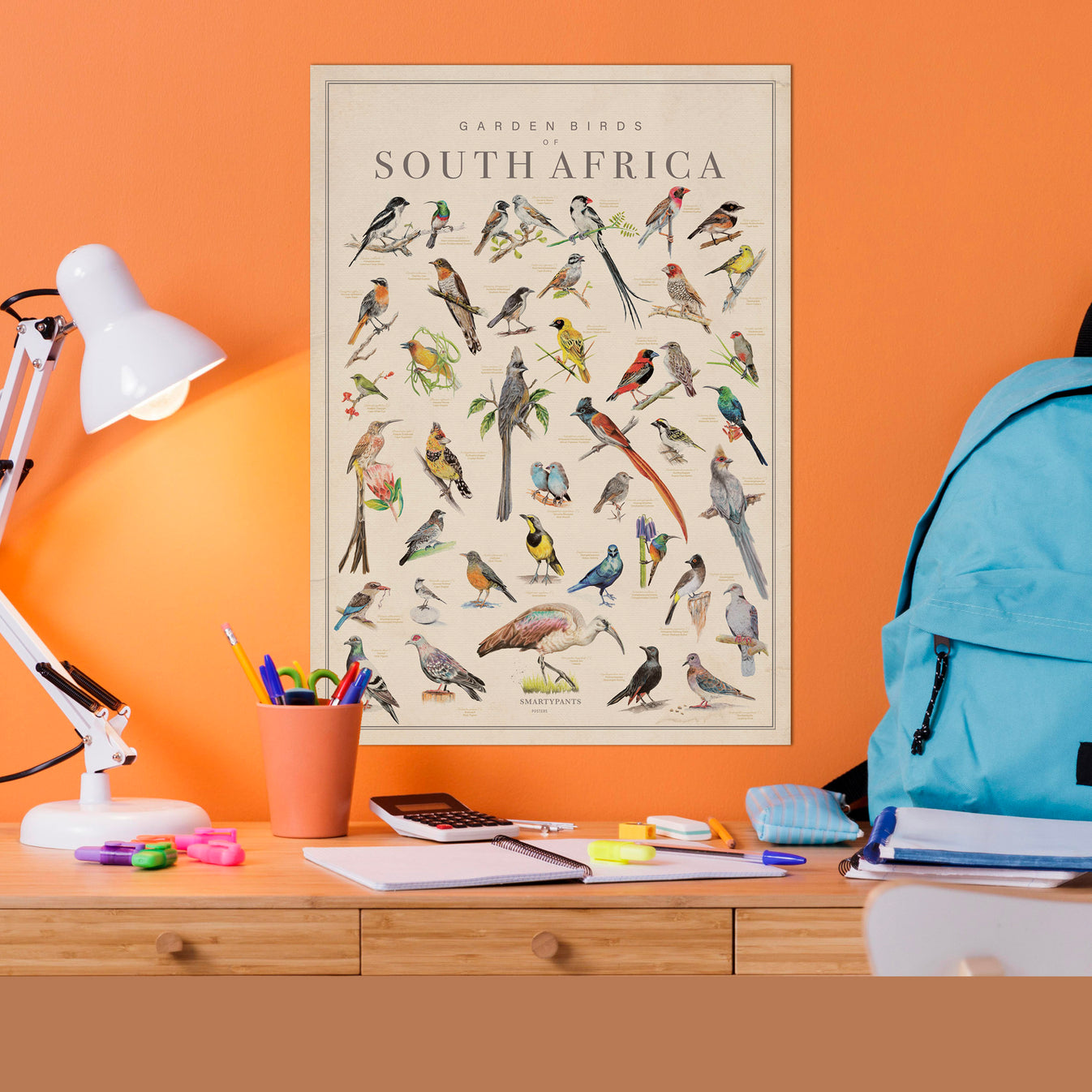 Posters: Choose your Birds of SA – The CooCoo Club